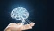 What Is DPA in Fish Oil? What You Should Know - Omega3 Innovations